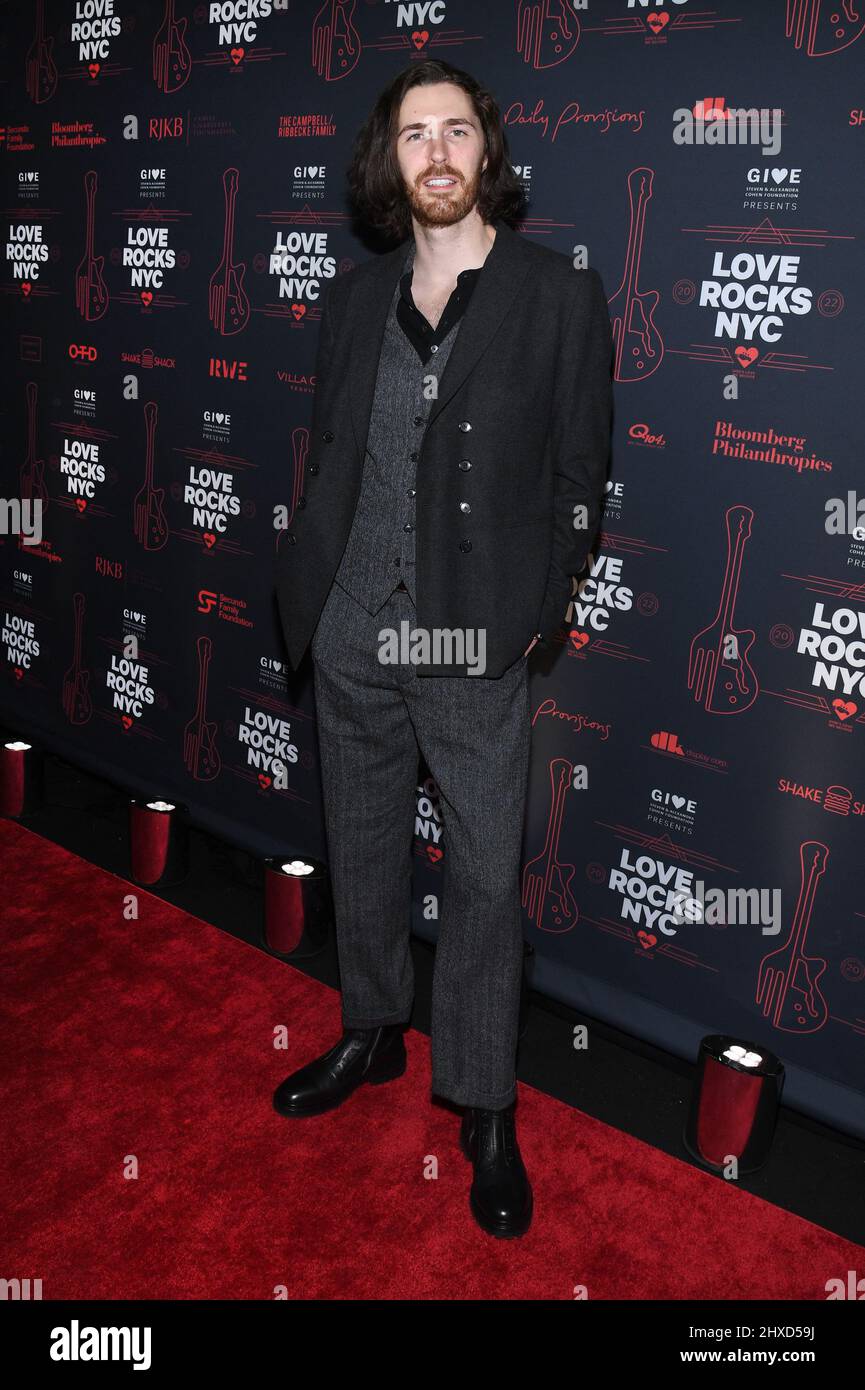 Musician Hozier attends the Sixth Annual Love Rocks NYC Benefit Concert ...