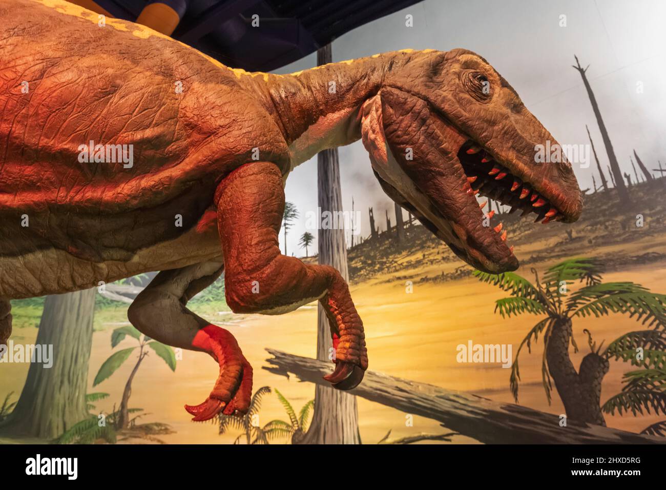 Neovenator Vs Baryonyx