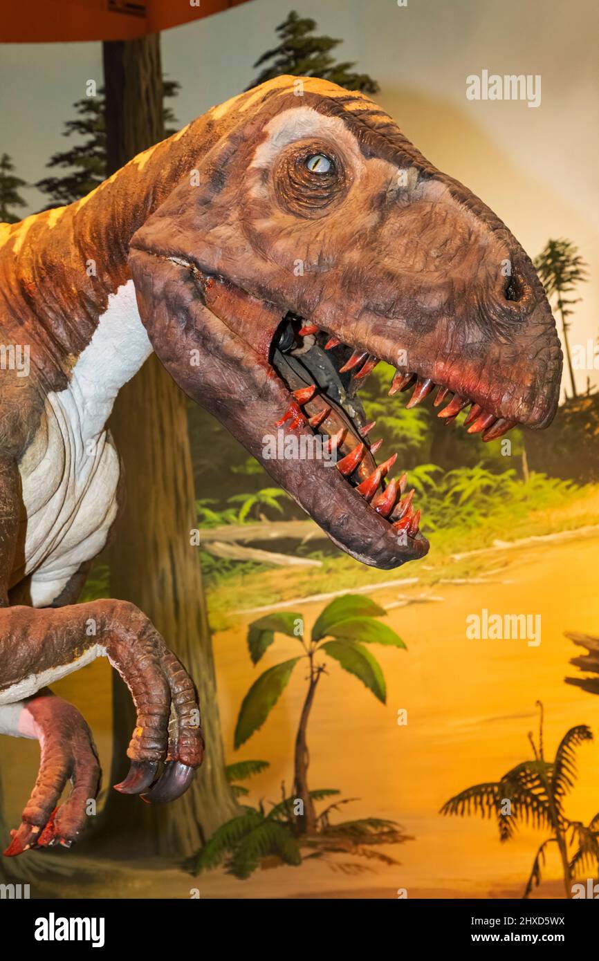 England, Isle of Wight, Sandown, Dinosaur Isle Museum, Model of a ...