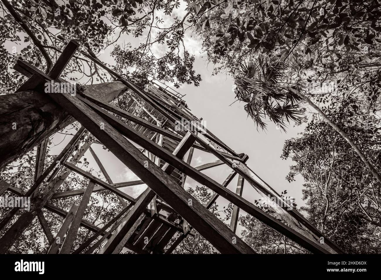 Old black and white picture of a wooden viewpoint tower with panorama ...