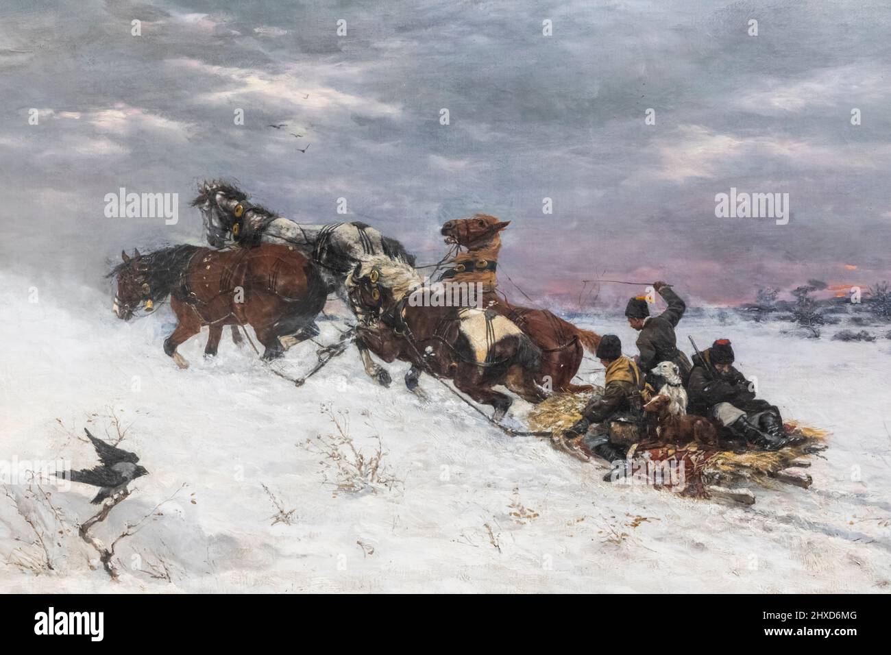 Mammal Of Russian Steppe