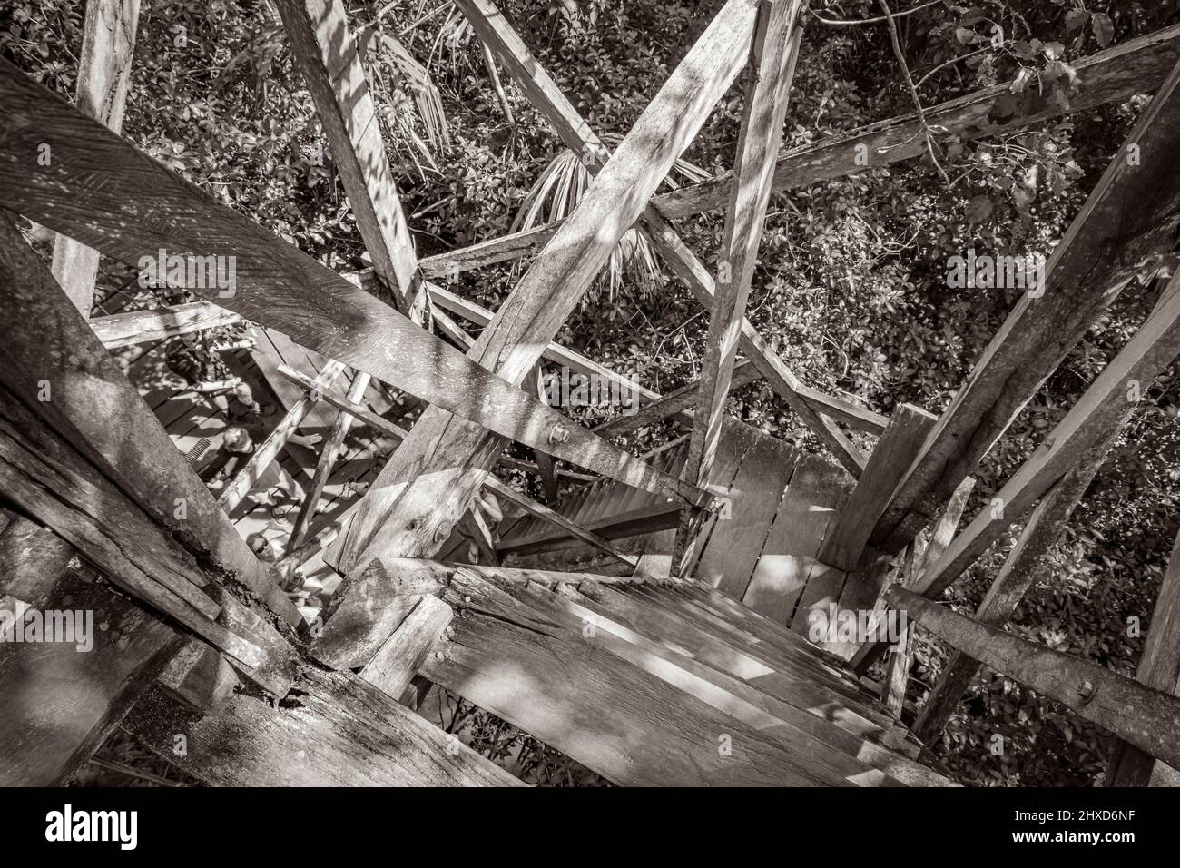 Old black and white picture of a wooden viewpoint tower with panorama ...