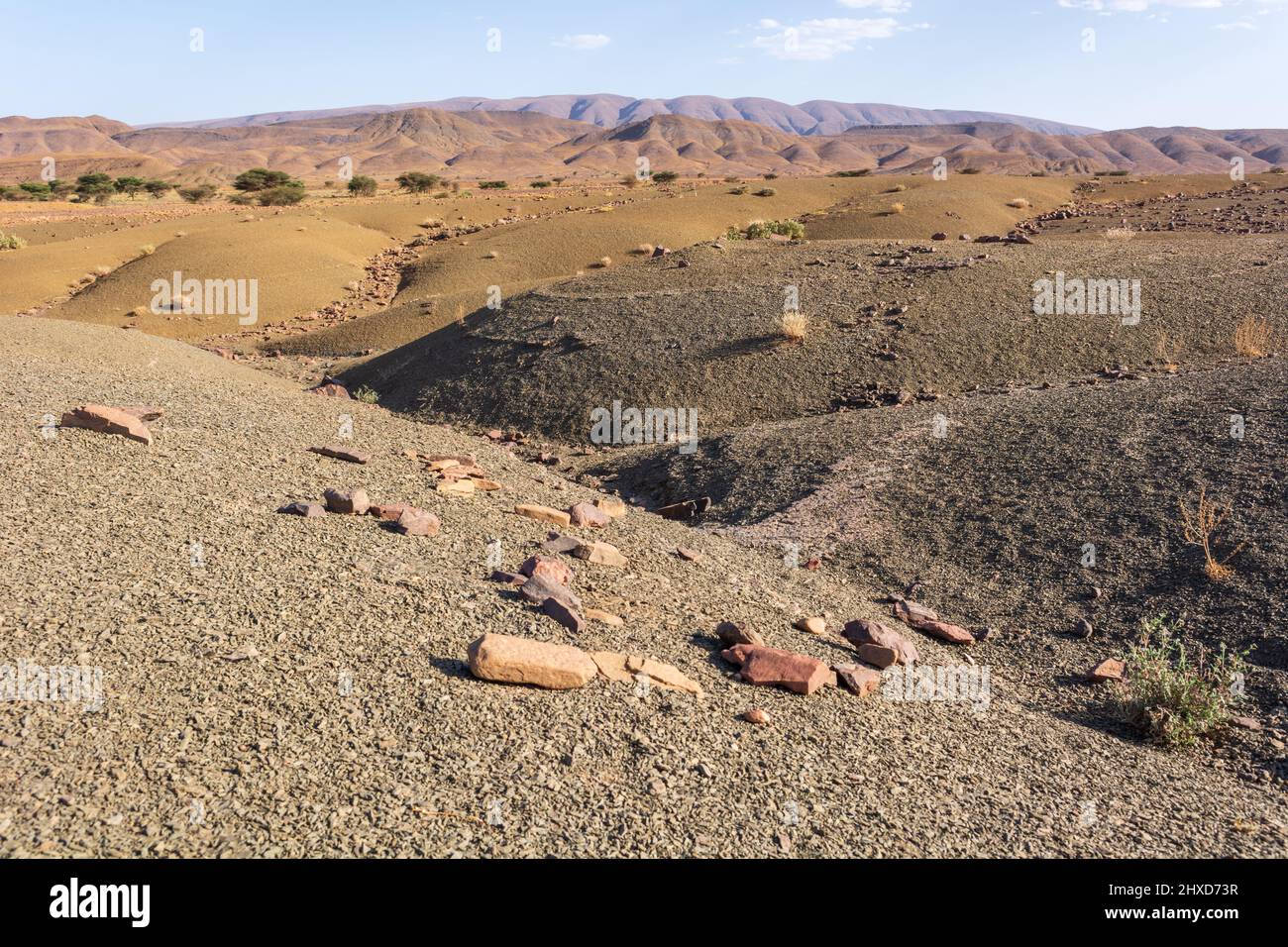 Small rocks and pebbles in a stone desert in Morocco. Dry and mineral ...