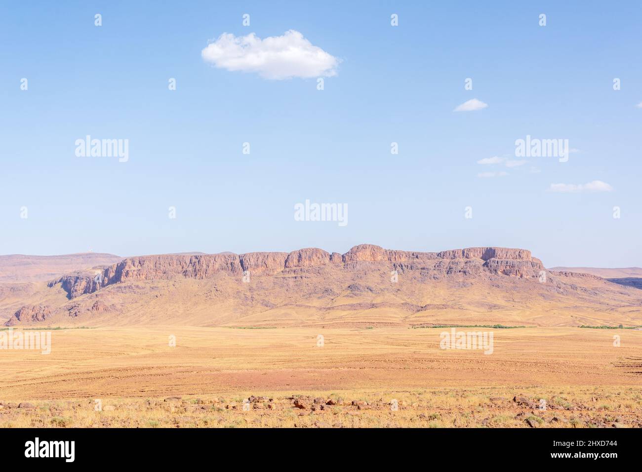 Rocks and pebbles in a stone desert in Morocco. Dry and mineral ...
