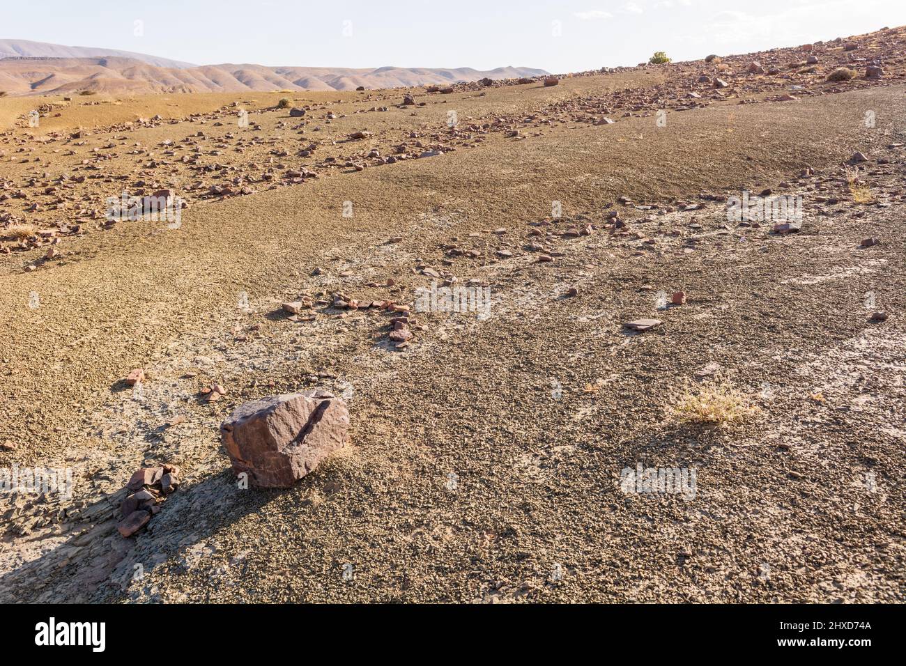 Small rocks and pebbles in a stone desert in Morocco. Dry and mineral ...