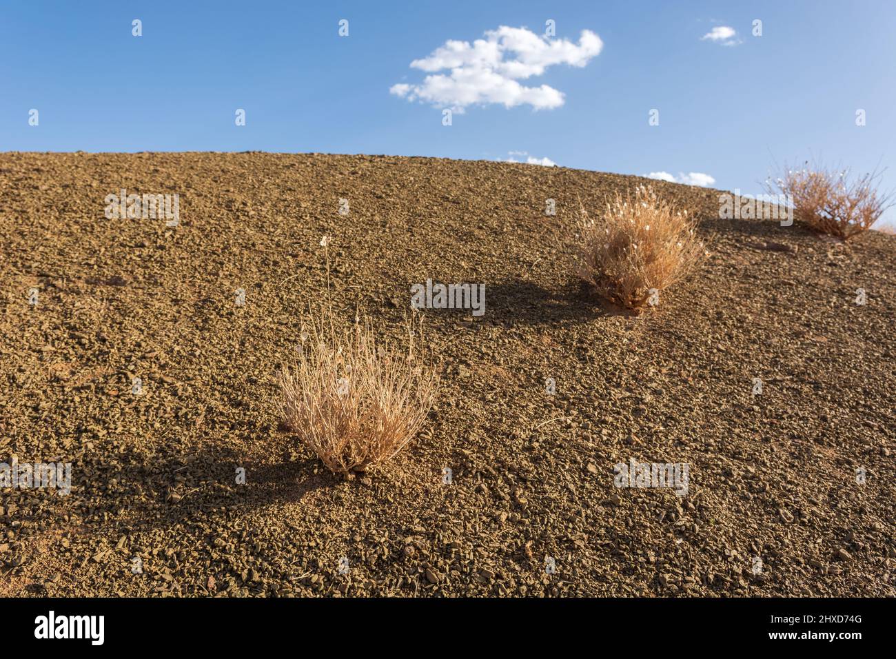 Small rocks and pebbles in a stone desert in Morocco. Dry and mineral ...