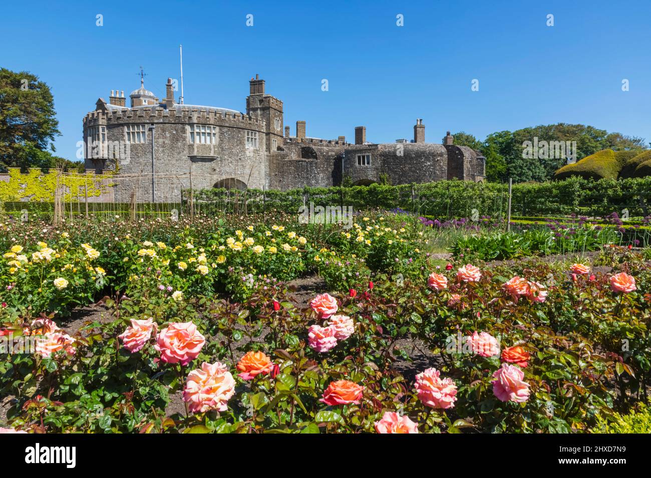 Walmer castle gardens hi-res stock photography and images - Alamy