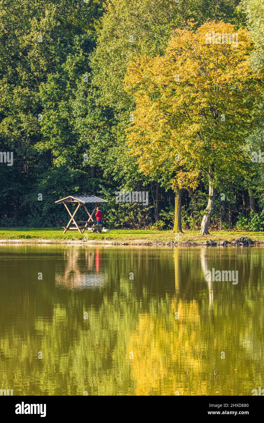 Saller Lake, Freren, Emsland, Lower Saxony, Germany, recreation area ...