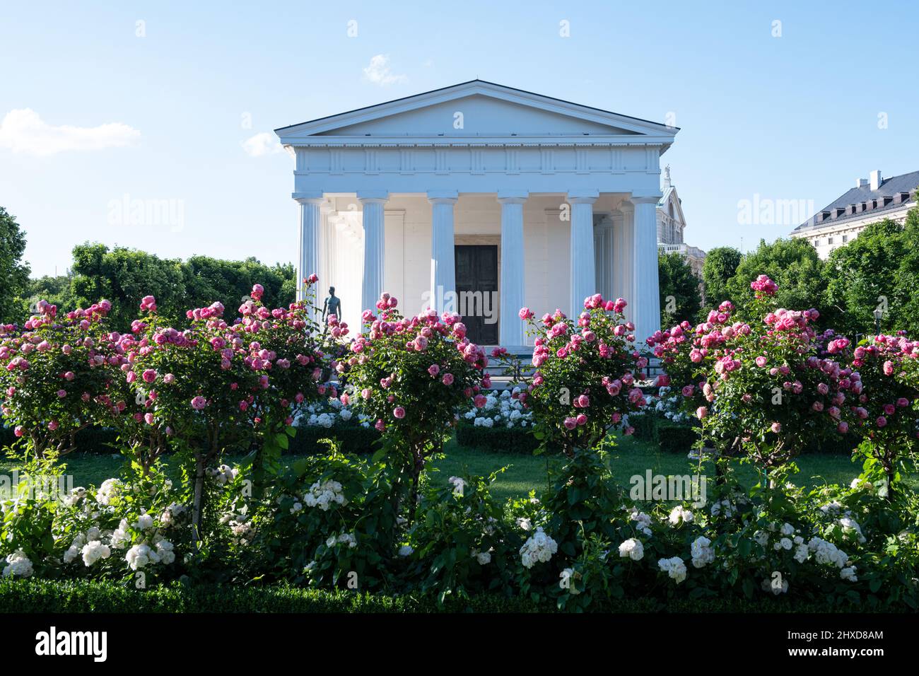 Theseus temple in Volksgarten park with blooming pink and white roses ...