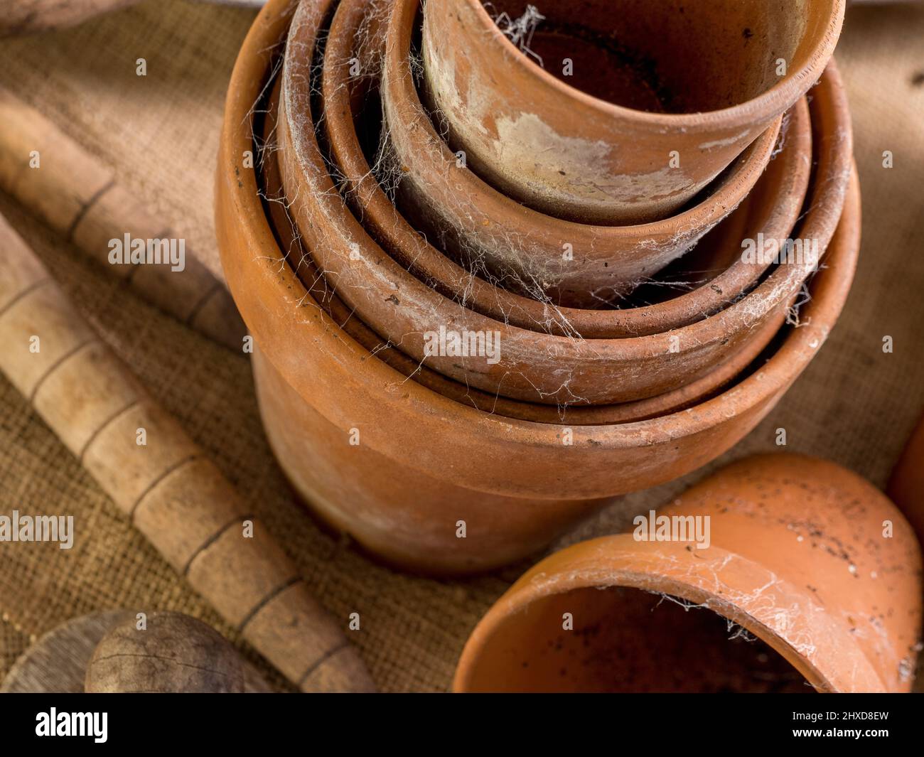 Terracotta plant pots hi-res stock photography and images - Alamy