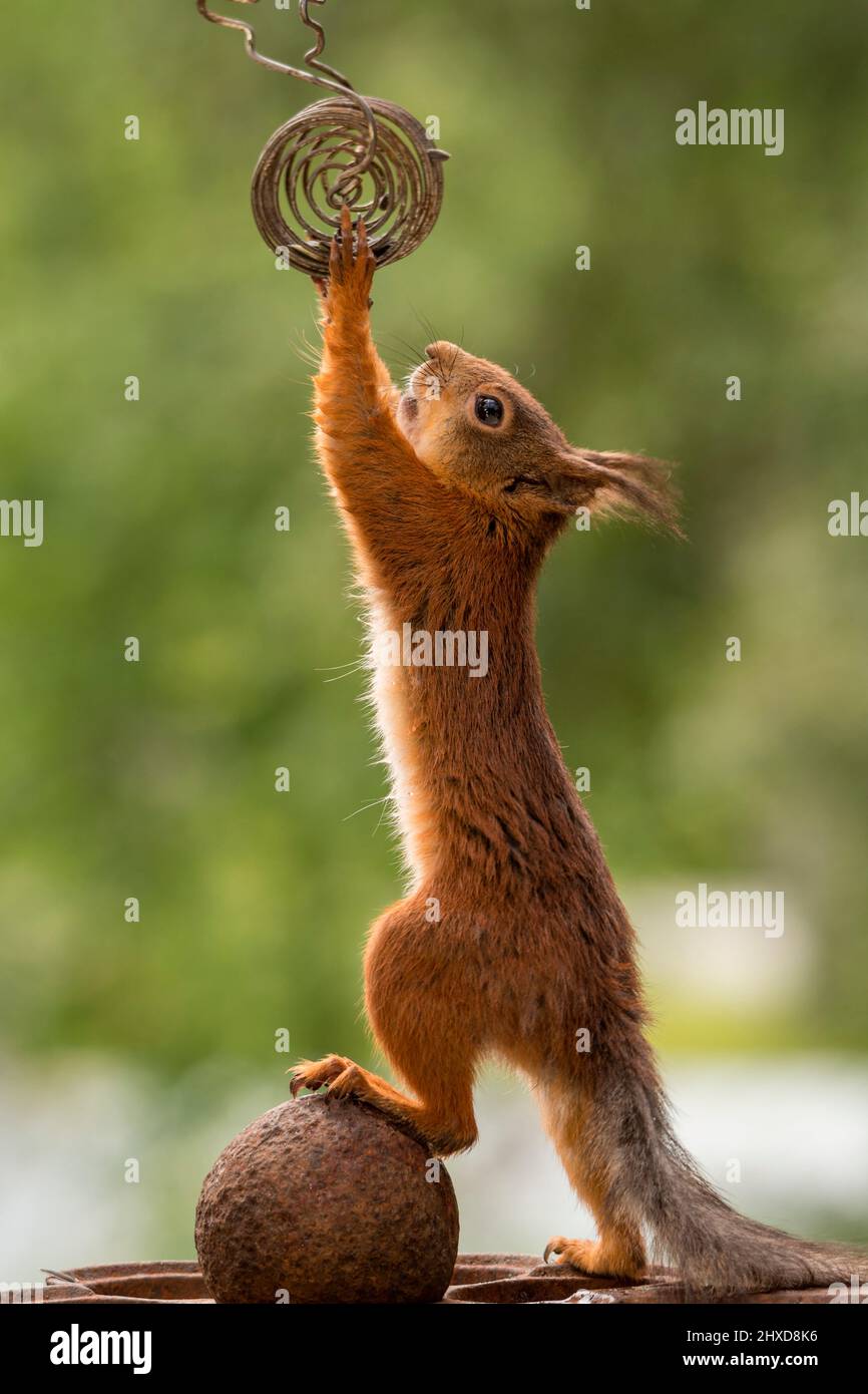 Standing iron hi-res stock photography and images - Alamy