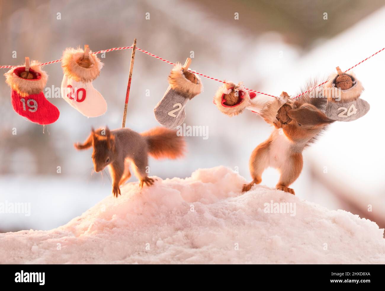 Red stockings hi-res stock photography and images - Alamy