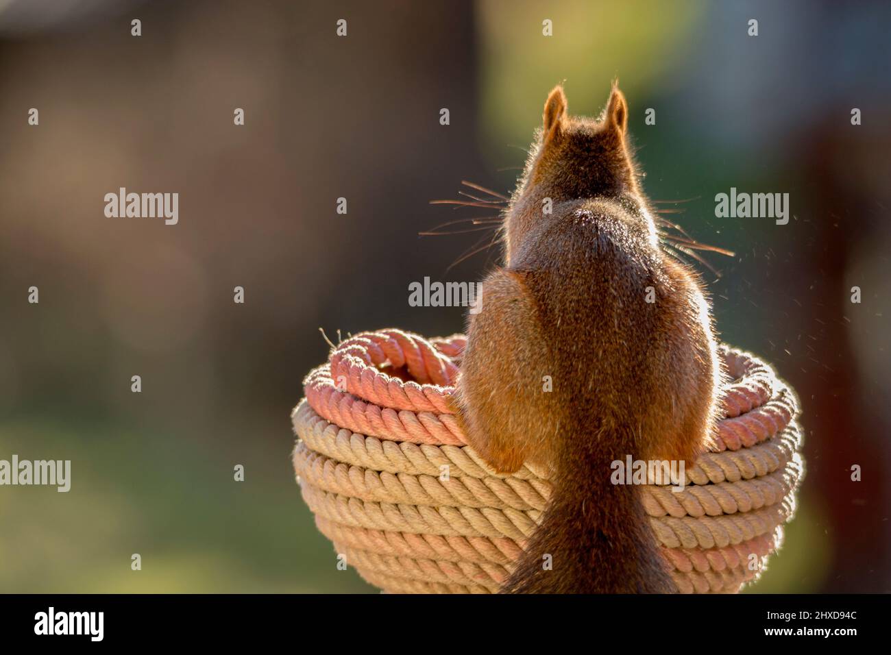 Rope in a spiral hi-res stock photography and images - Alamy
