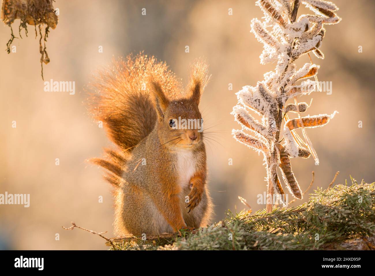 Standing in sun hi-res stock photography and images - Alamy