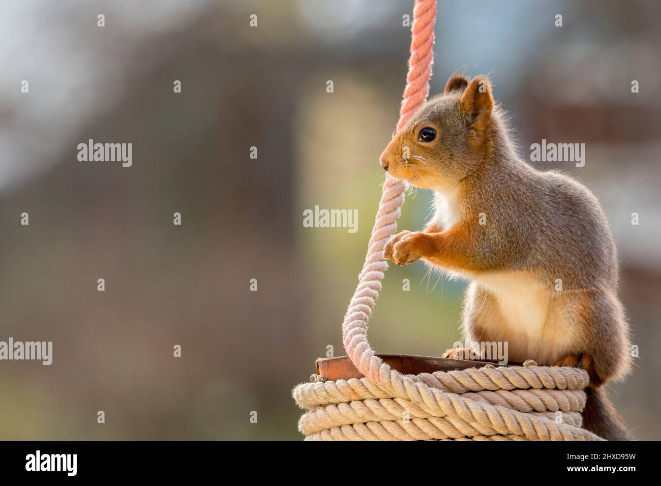 What goes up hi-res stock photography and images - Alamy