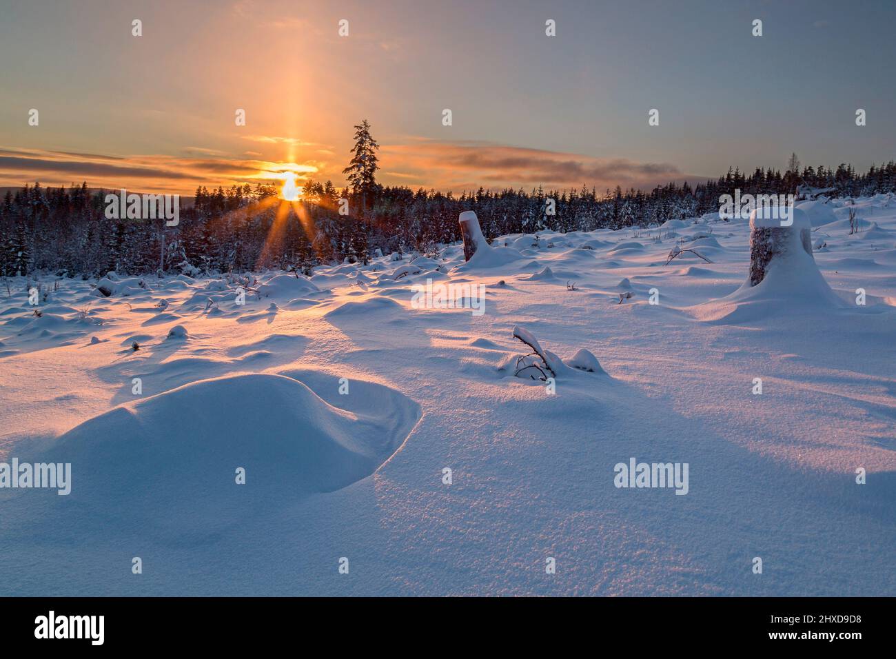 Swedish sunset hi-res stock photography and images - Alamy