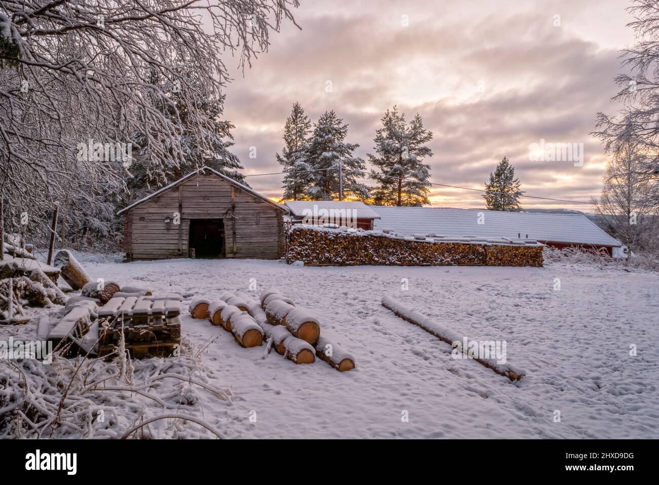 Fire wood with a barn in a snow landscape hi-res stock photography and ...