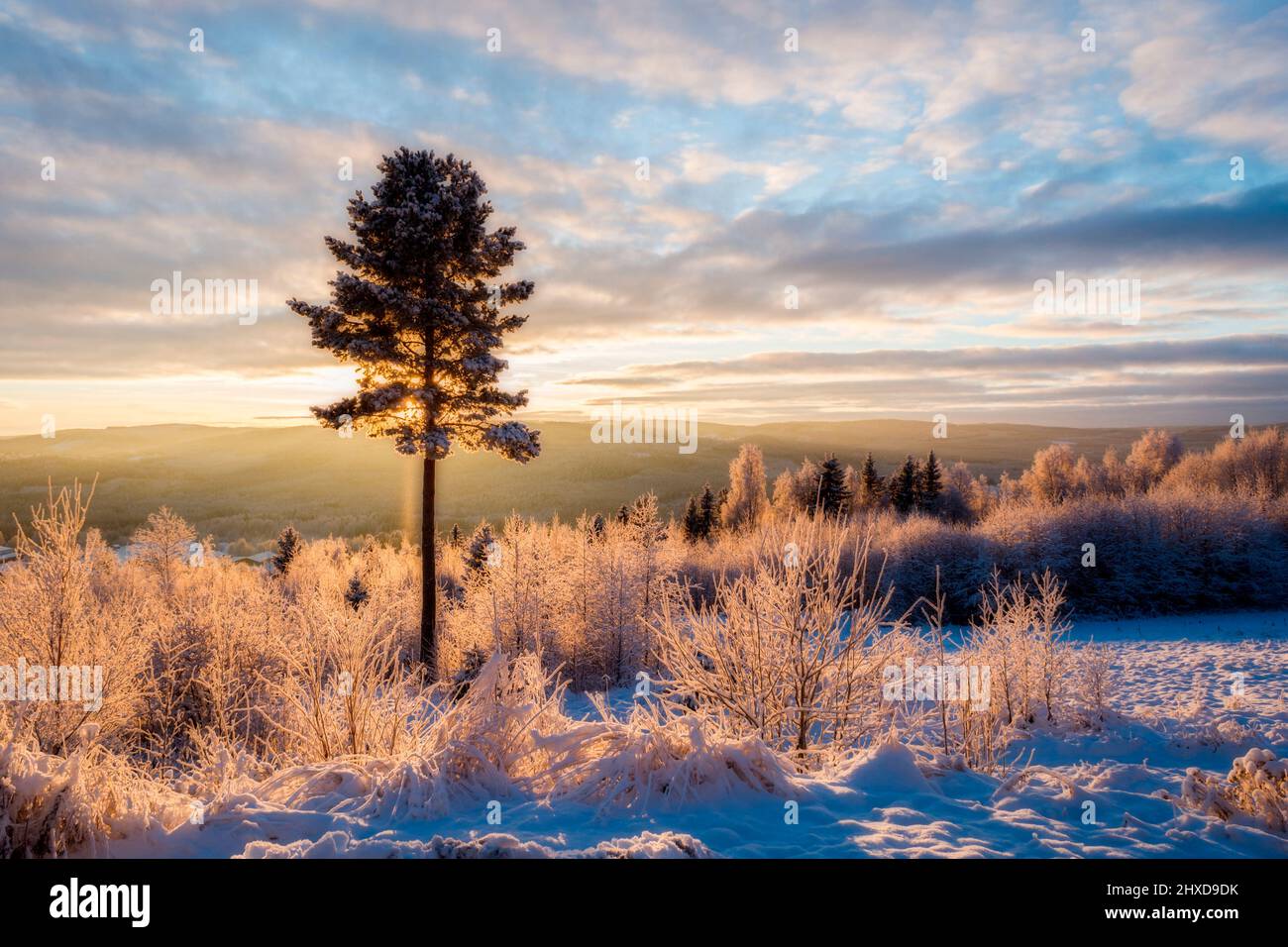 Winter snow sun clouds hi-res stock photography and images - Alamy