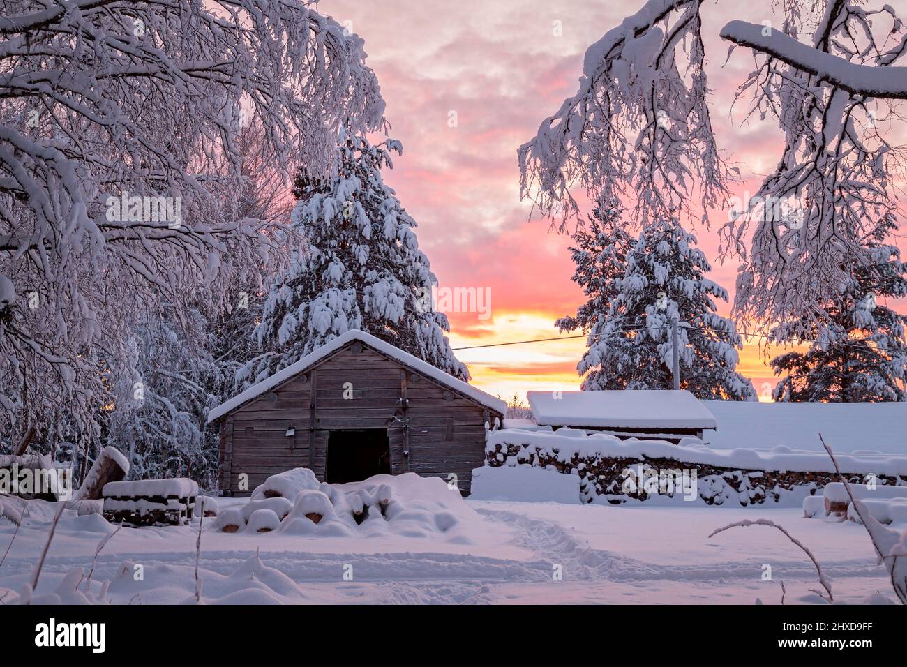 Fire in wood hi-res stock photography and images - Alamy