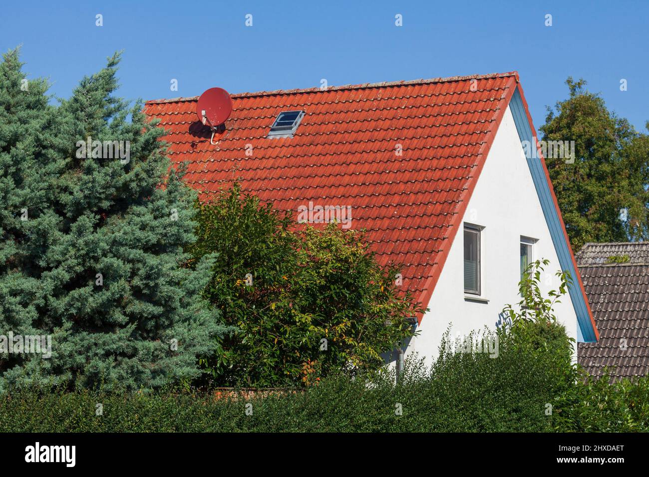 White family house, roof, garden hedge, residential building, Bremen ...