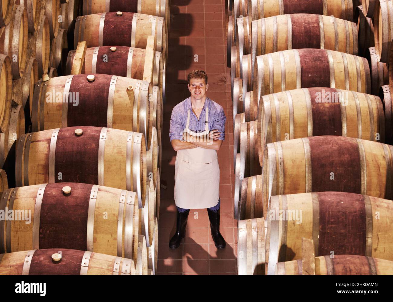 Surrounded by all of his hard work. Portrait of a young wine maker ...