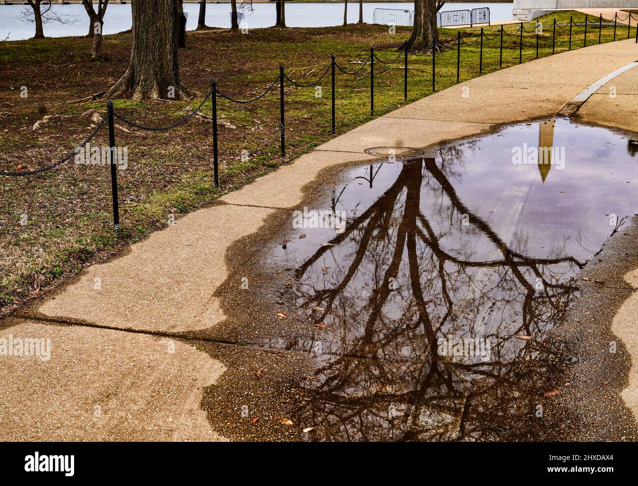 Tip of the Washington Monument seen in a puddle by the Jefferson ...