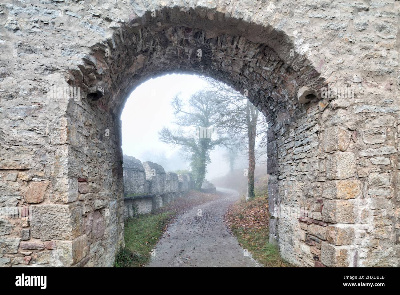 Homburg Castle Ruin And Nature Reserve Ruin Homburg High Resolution ...