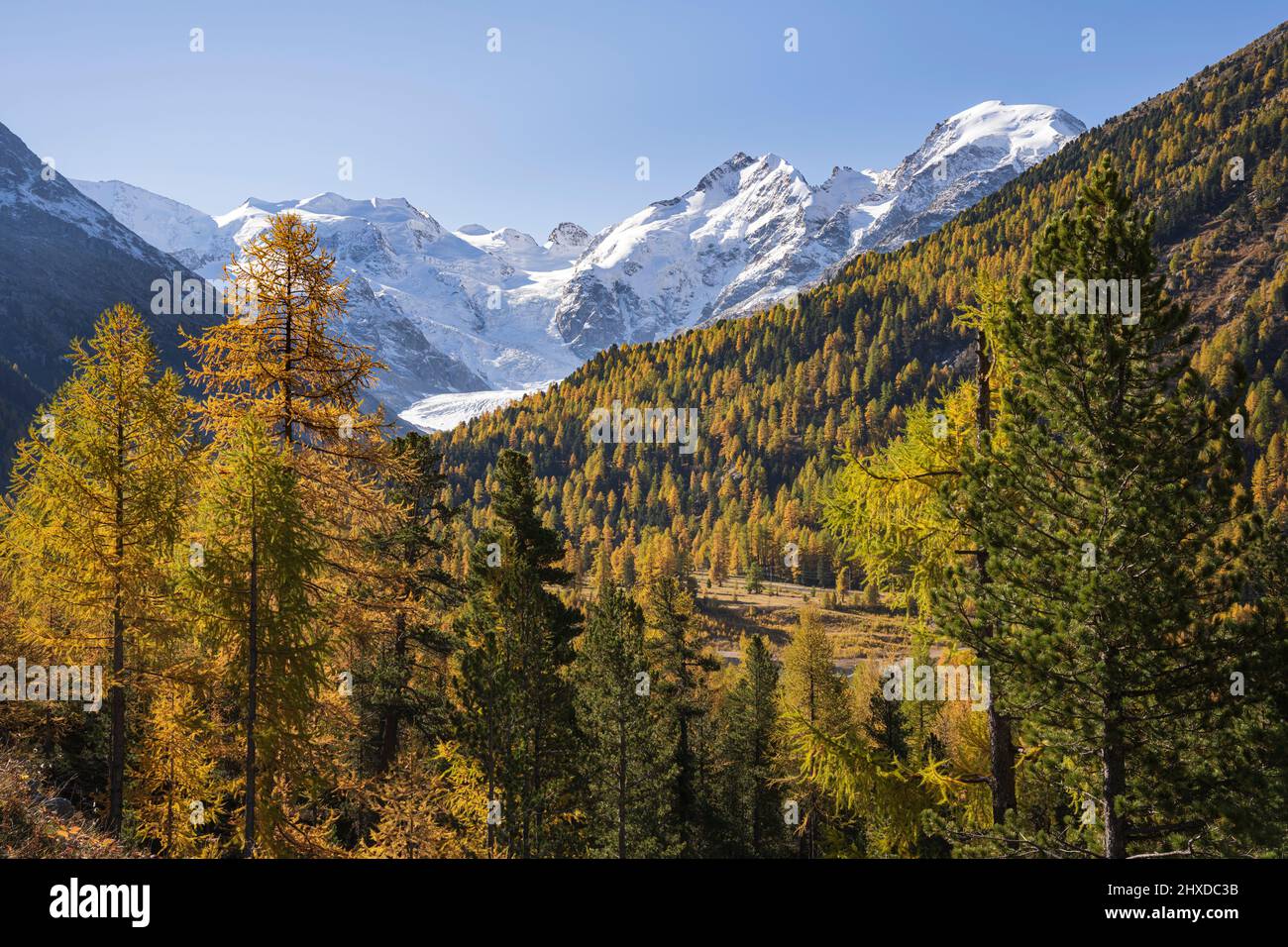 Europe, Switzerland, Canton Grisons, Engadine, Golden autumn on the ...