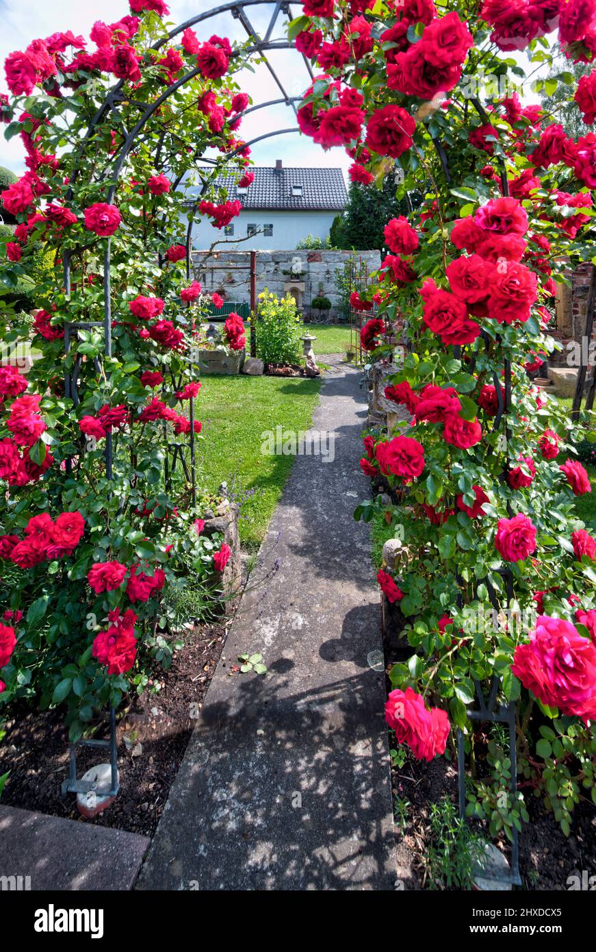 Rose trellis, roses, garden, idyll, summer, reportage, Baunach, Bamberg ...