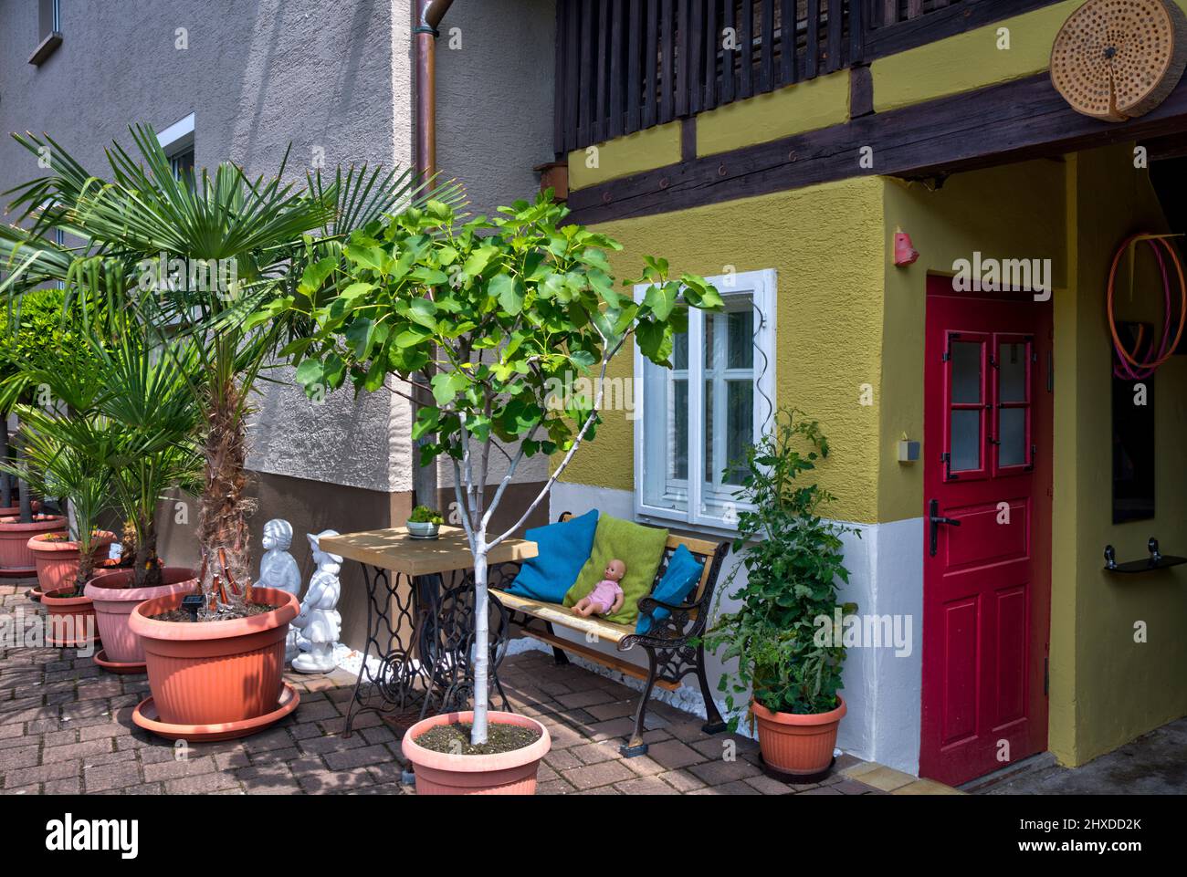 Palm trees, palm collection, garden, architecture, idyll, summer ...