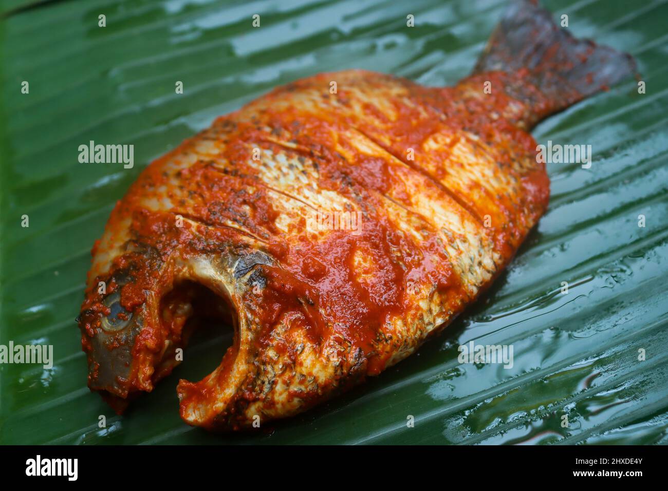 Karimeen hi-res stock photography and images - Alamy