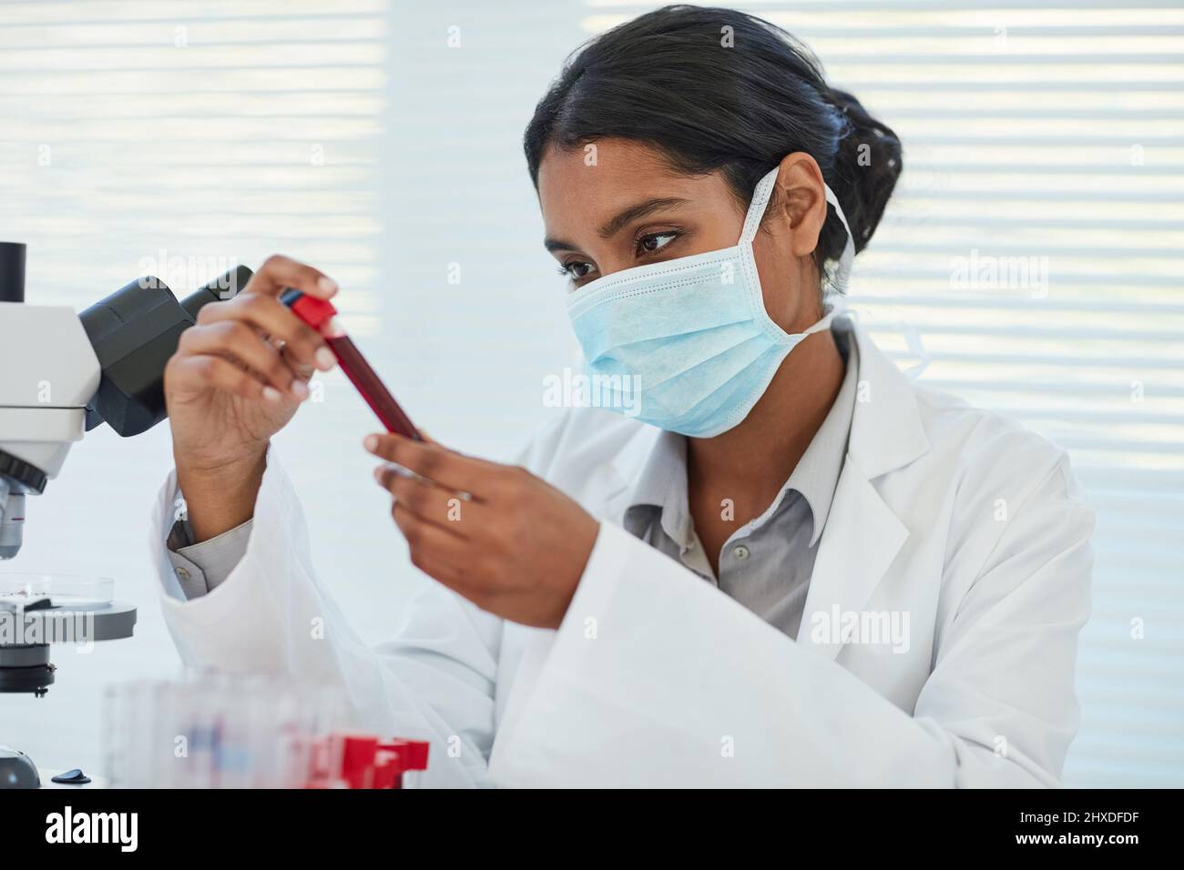 Applying scientific principles to test her theories. Cropped shot of a ...