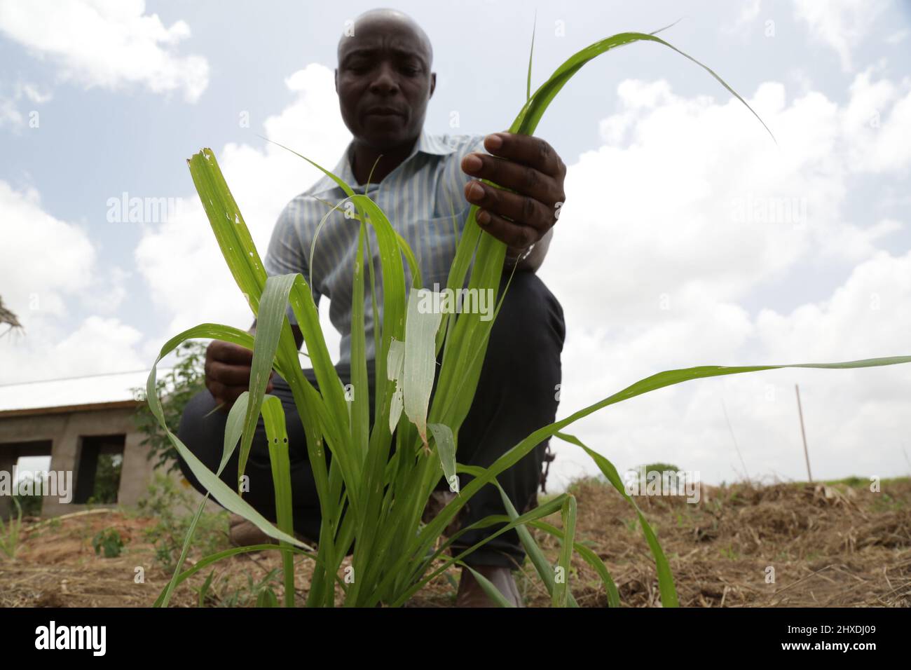 Dar Es Salaam, Tanzania. 10th Mar, 2022. Elly Ligate, a senior lecturer ...