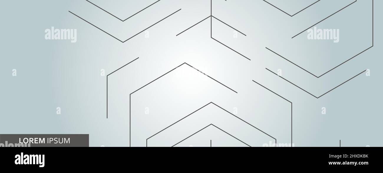Vector banner design, white background with connect hexagon pattern ...