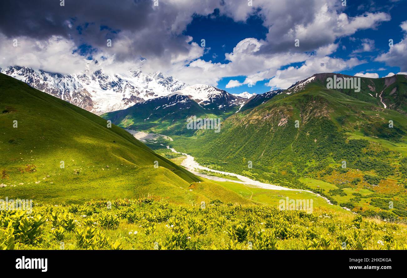 Alpine meadows at the foot of Mt. Shkhara, Chkhutnieri pass. Upper ...