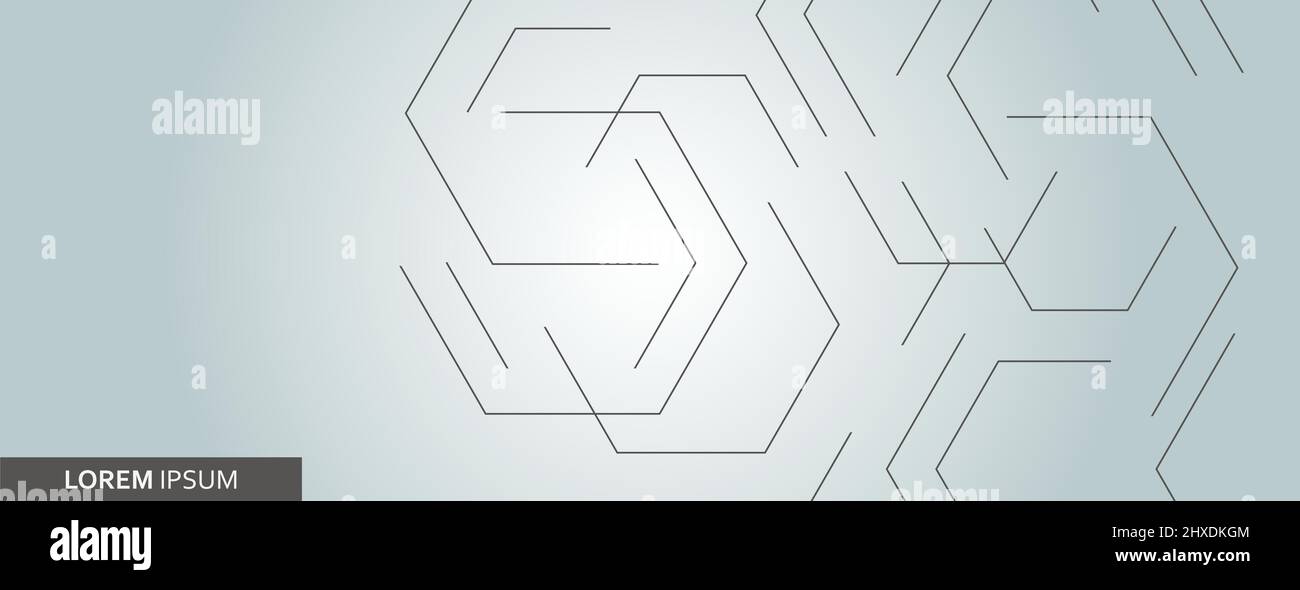Vector banner design, white background with connect hexagon pattern ...