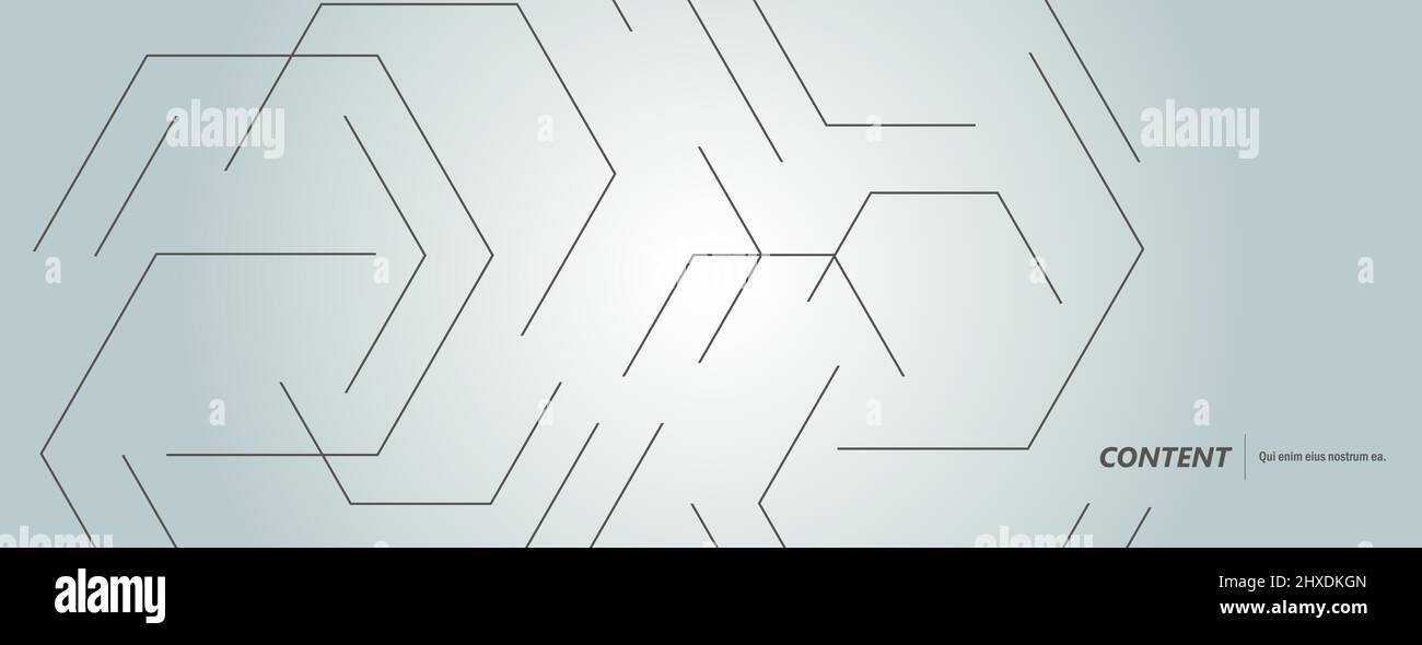 Vector banner design, white background with connect hexagon pattern ...