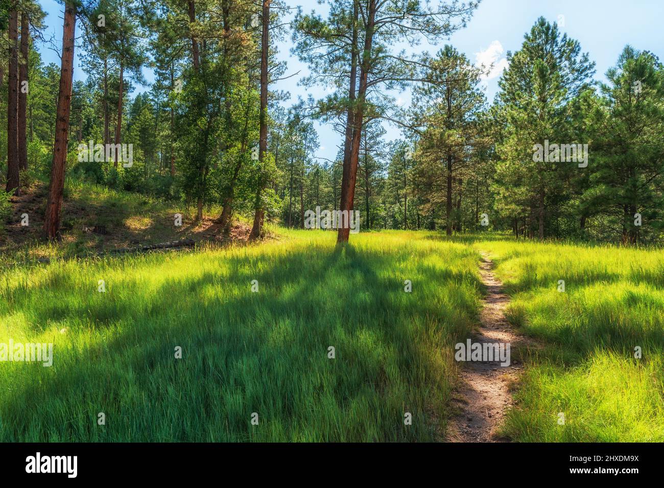 America ruidoso hi-res stock photography and images - Alamy