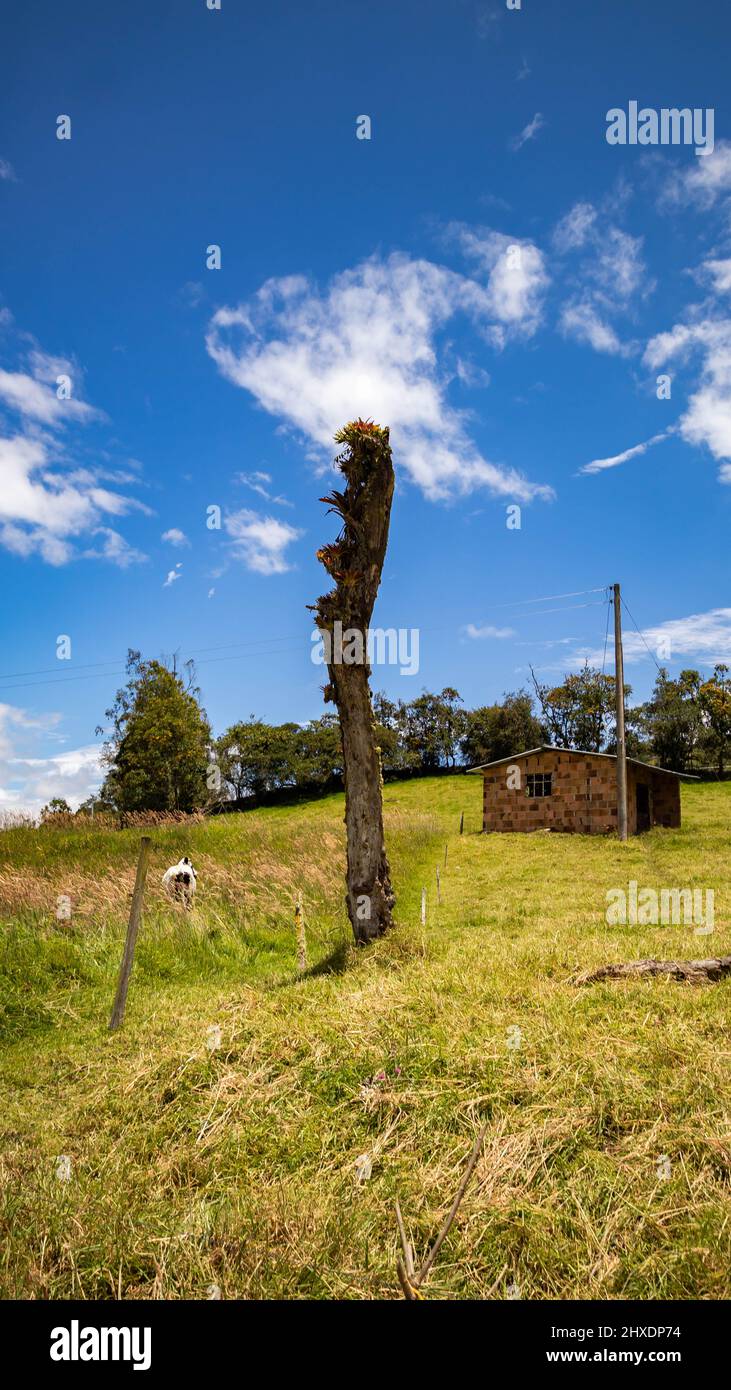 beautiful landscapes of Bogotá Colombia and its surroundings with lots ...