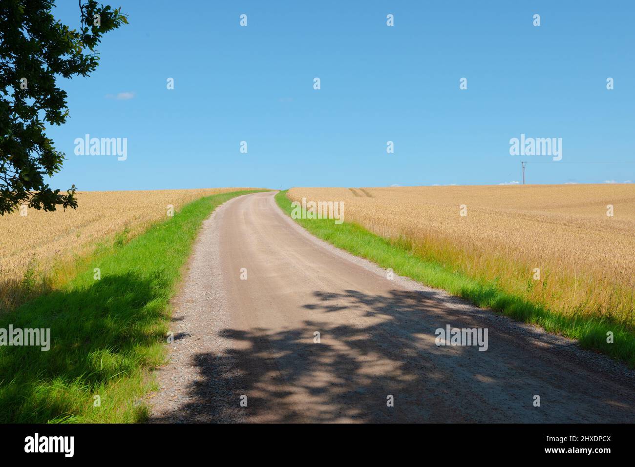 Road landscapes hi-res stock photography and images - Alamy