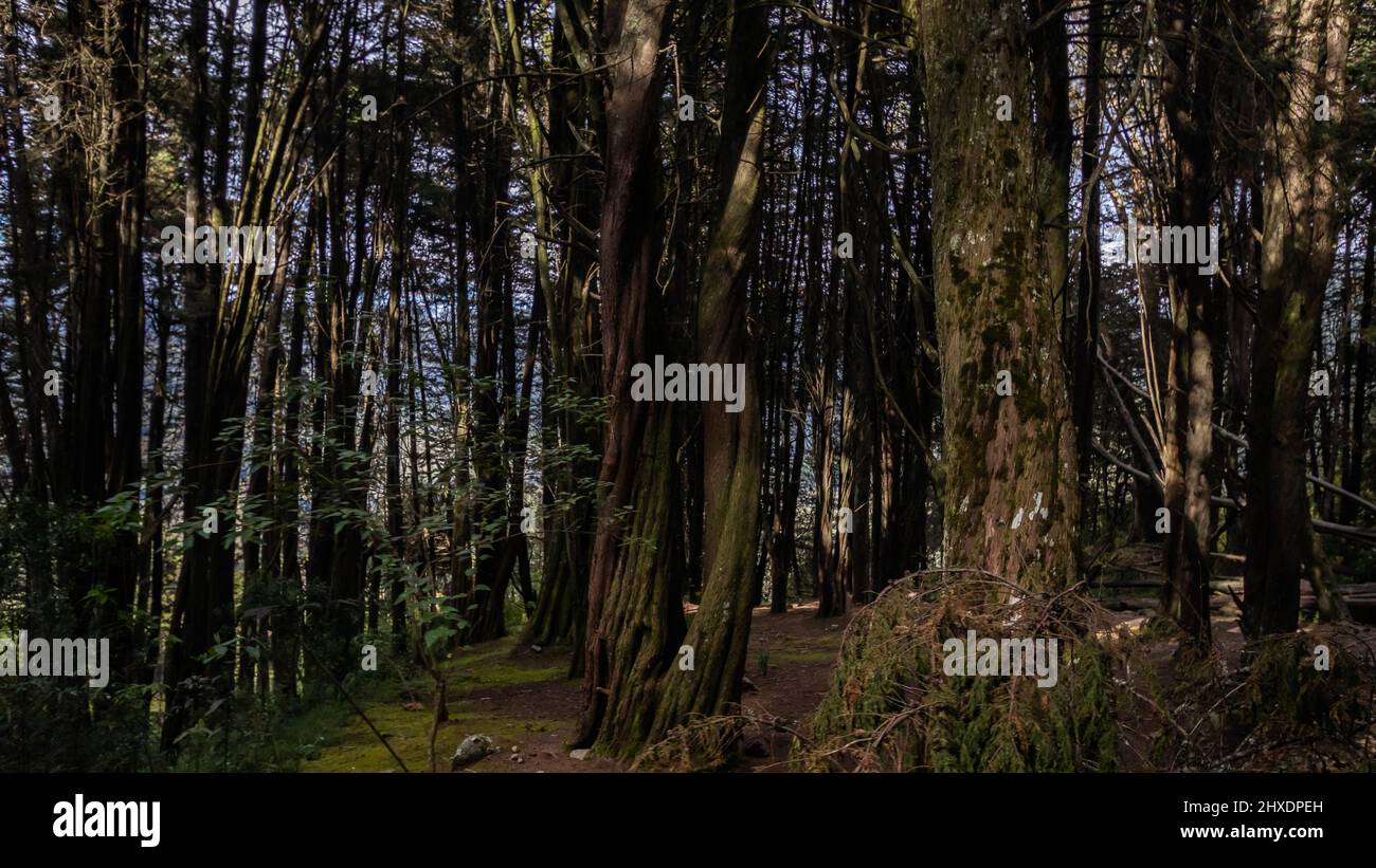 From bogota hi-res stock photography and images - Alamy