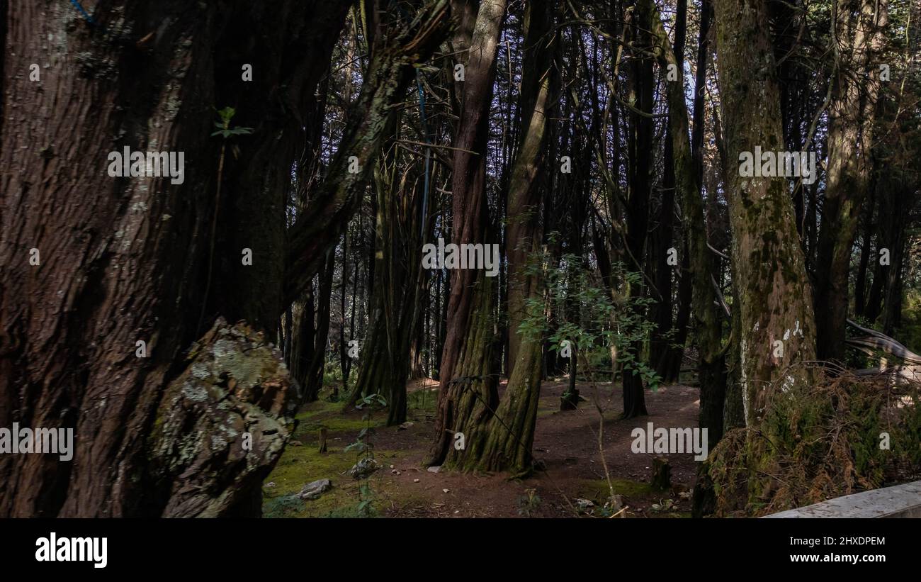 From bogota hi-res stock photography and images - Alamy