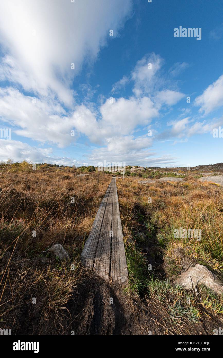 Wooden boardwalk across water hi-res stock photography and images - Alamy