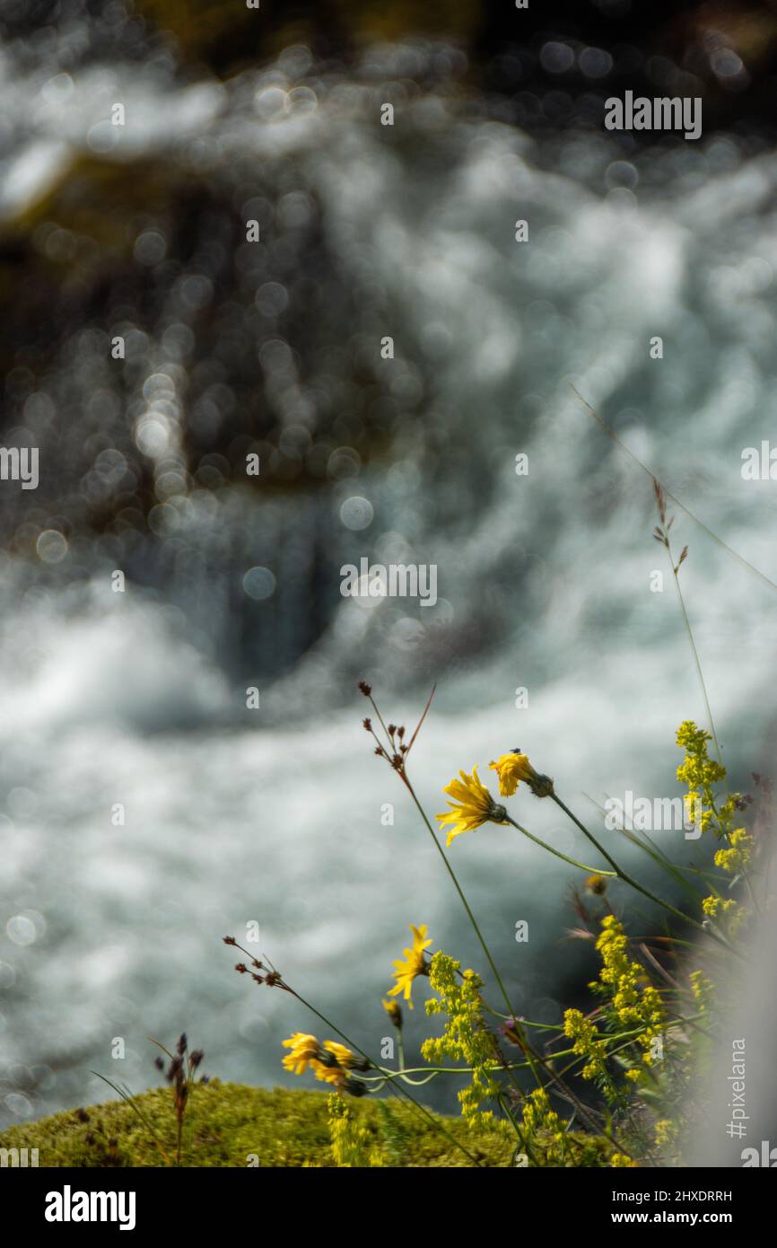Waterfall hikes hi-res stock photography and images - Alamy