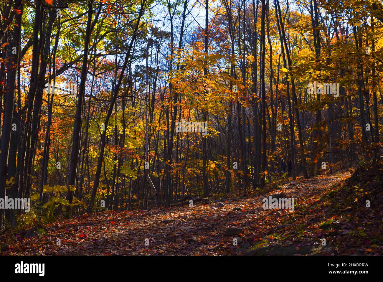 Most beautiful hikes hi-res stock photography and images - Alamy
