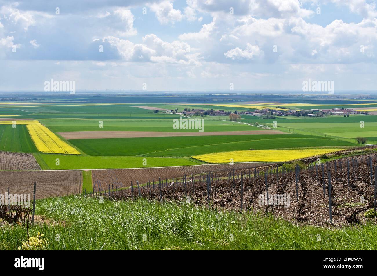 Agricultural landscape in France with patchwork fields and vine yard ...