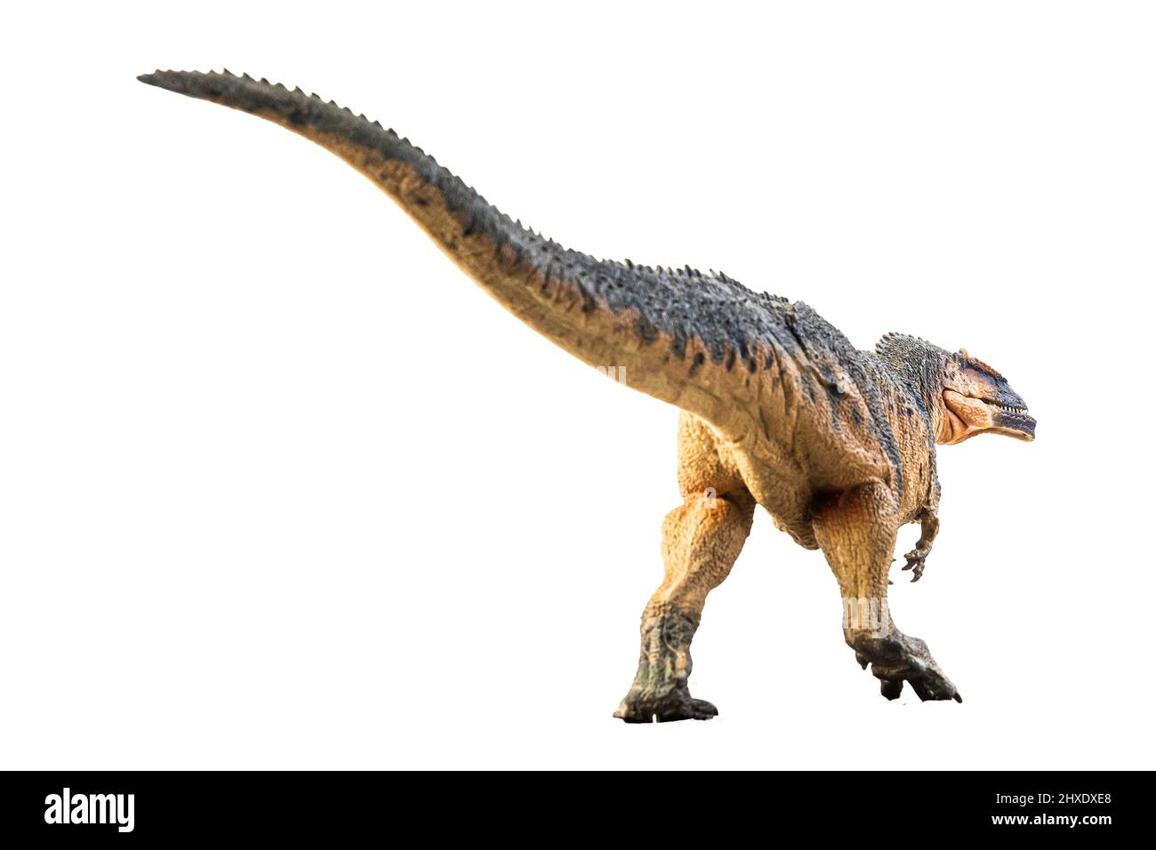 Carnivores Dinosaur Hunter Giganotosaurus