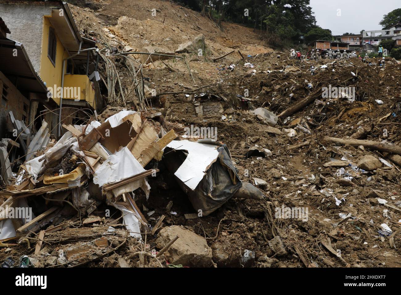 Natural Disaster Victims