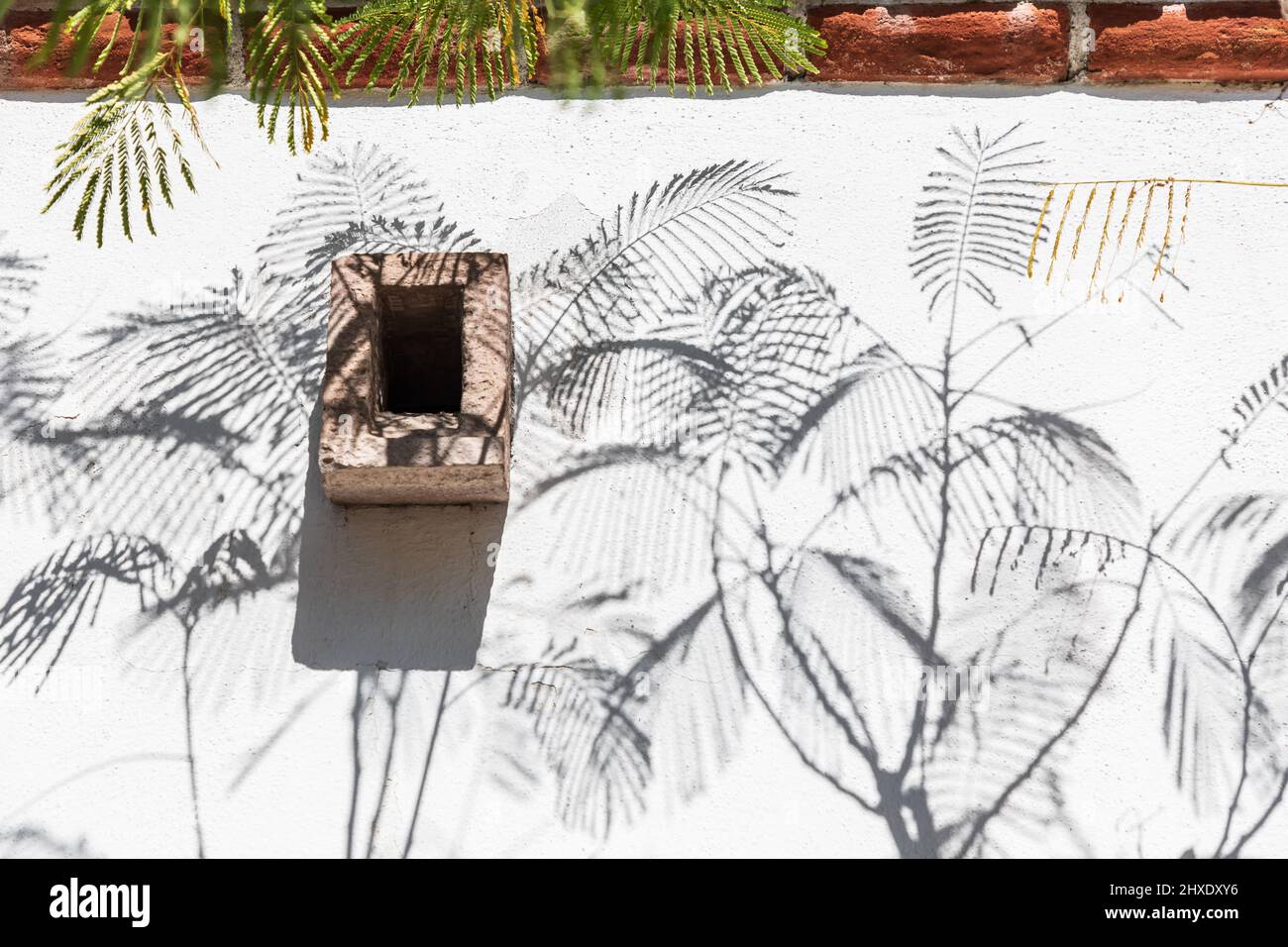 La Paz, Baja California Sur, Mexico. Shadows of plants on a white ...