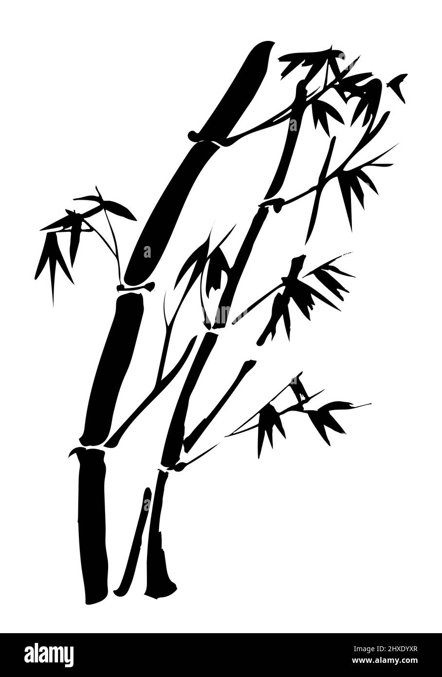 Bamboo Plant Silhouette